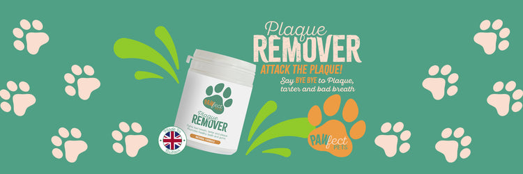 Pawfect Pets