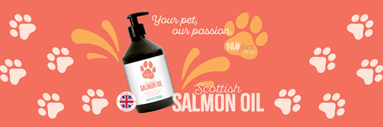Pawfect Pets